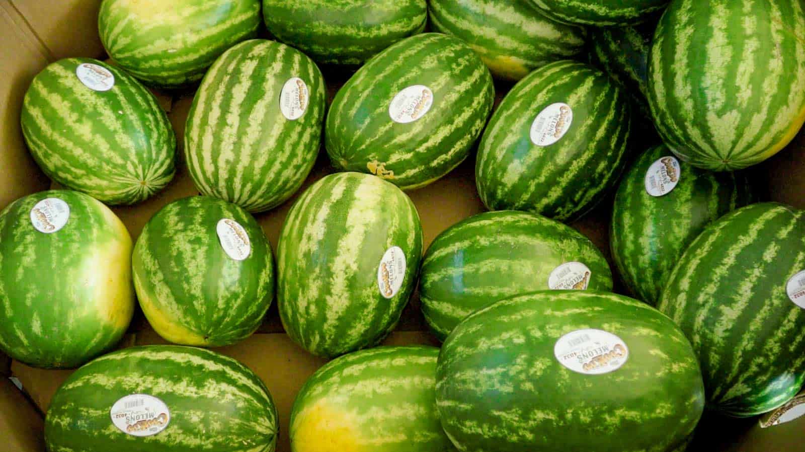 Home - Owyhee Produce